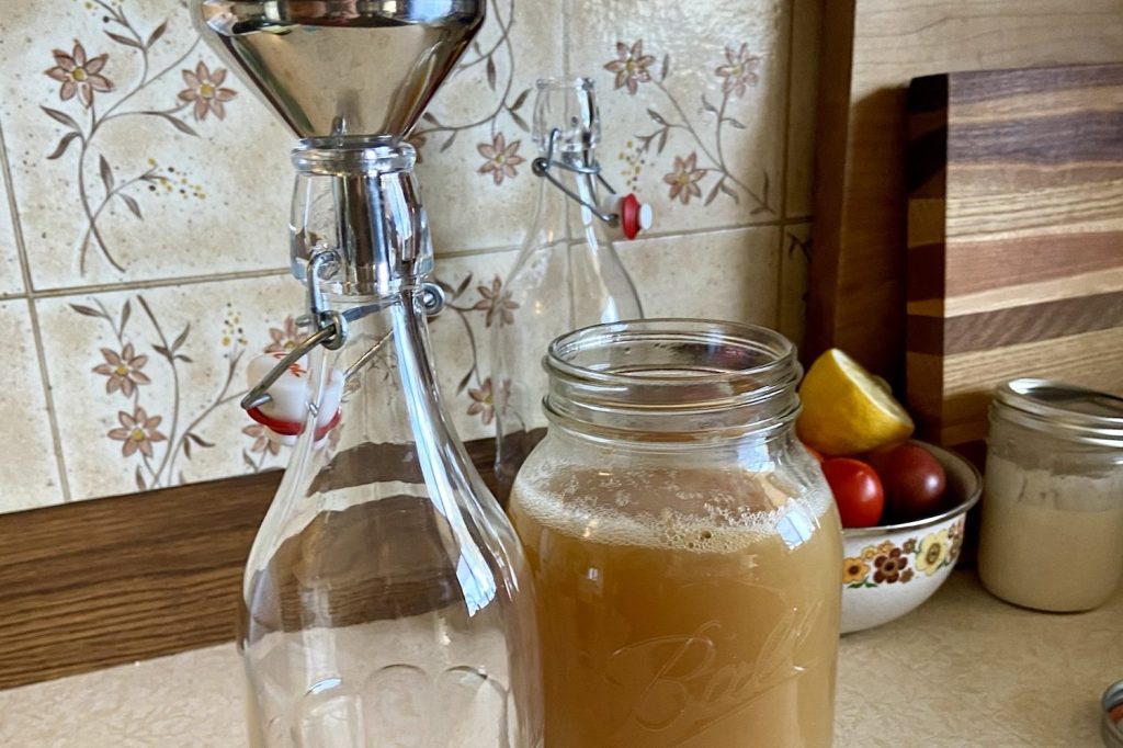 Delightful Apple Cider Whey Soda Recipe: Easy Fermentation Process ...